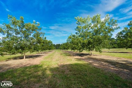 Land for Sale in Mitchell County, Georgia - 59 Properties - Land.com