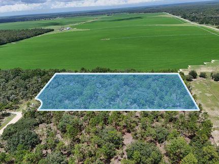 Land for Sale in Levy County, Florida - 830 Properties - Land.com