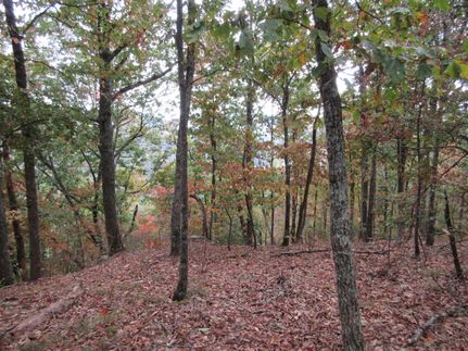 Undeveloped Land for Sale in Lim Rock, Alabama - 1 Properties - Land.com