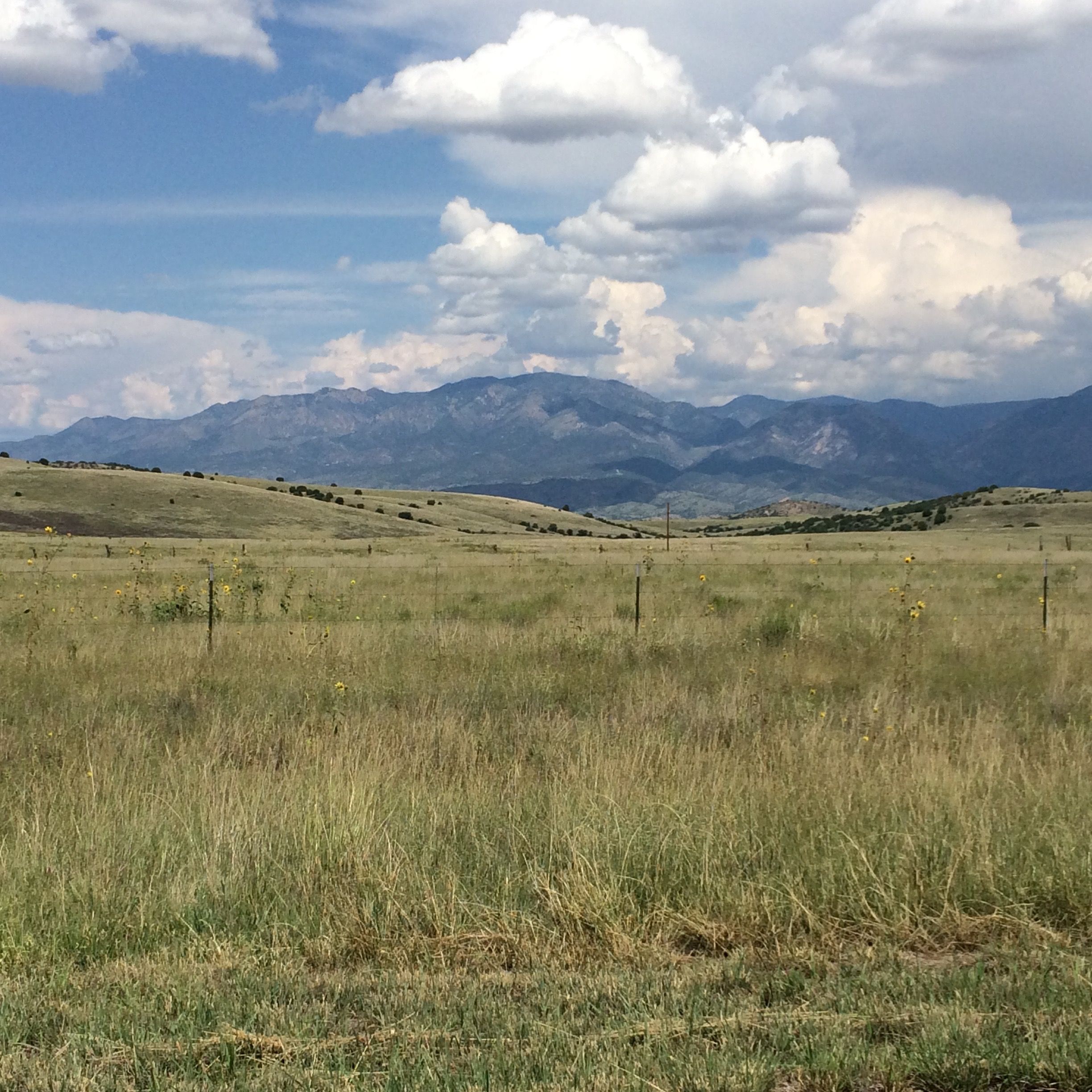 376 acres in Catron County, New Mexico