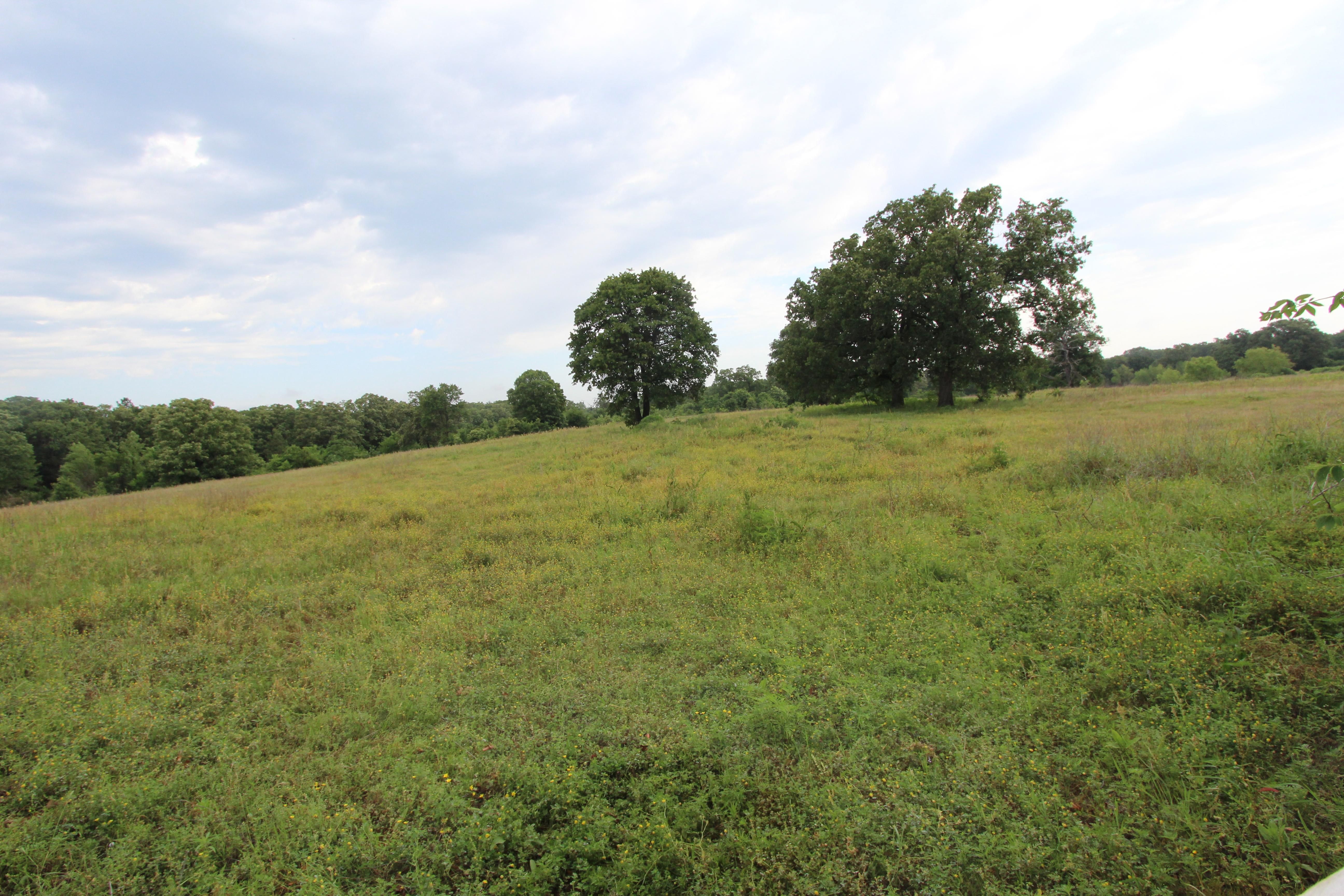 4572 cr 2700, Telephone, TX 75488 | Land.com