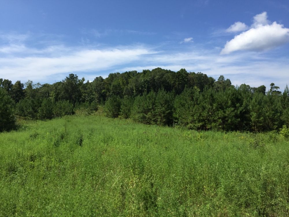 0 Holcombe / Bashi Road, Koenton, AL 36558 | Land.com