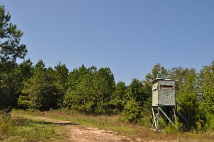 999 acres in Liberty County, Texas