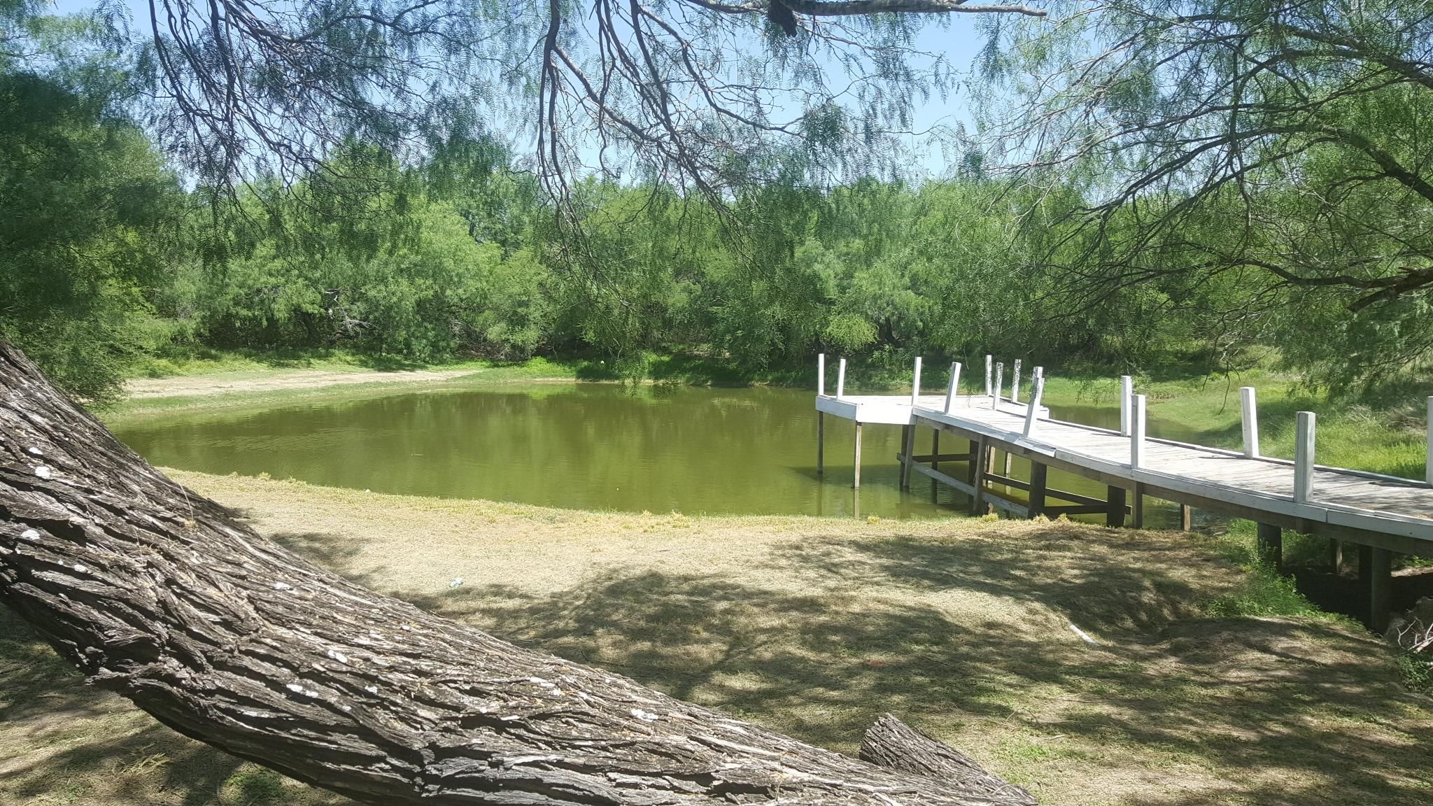 La Sagunada Road, Rio Grande City, TX 78582 | Land.com