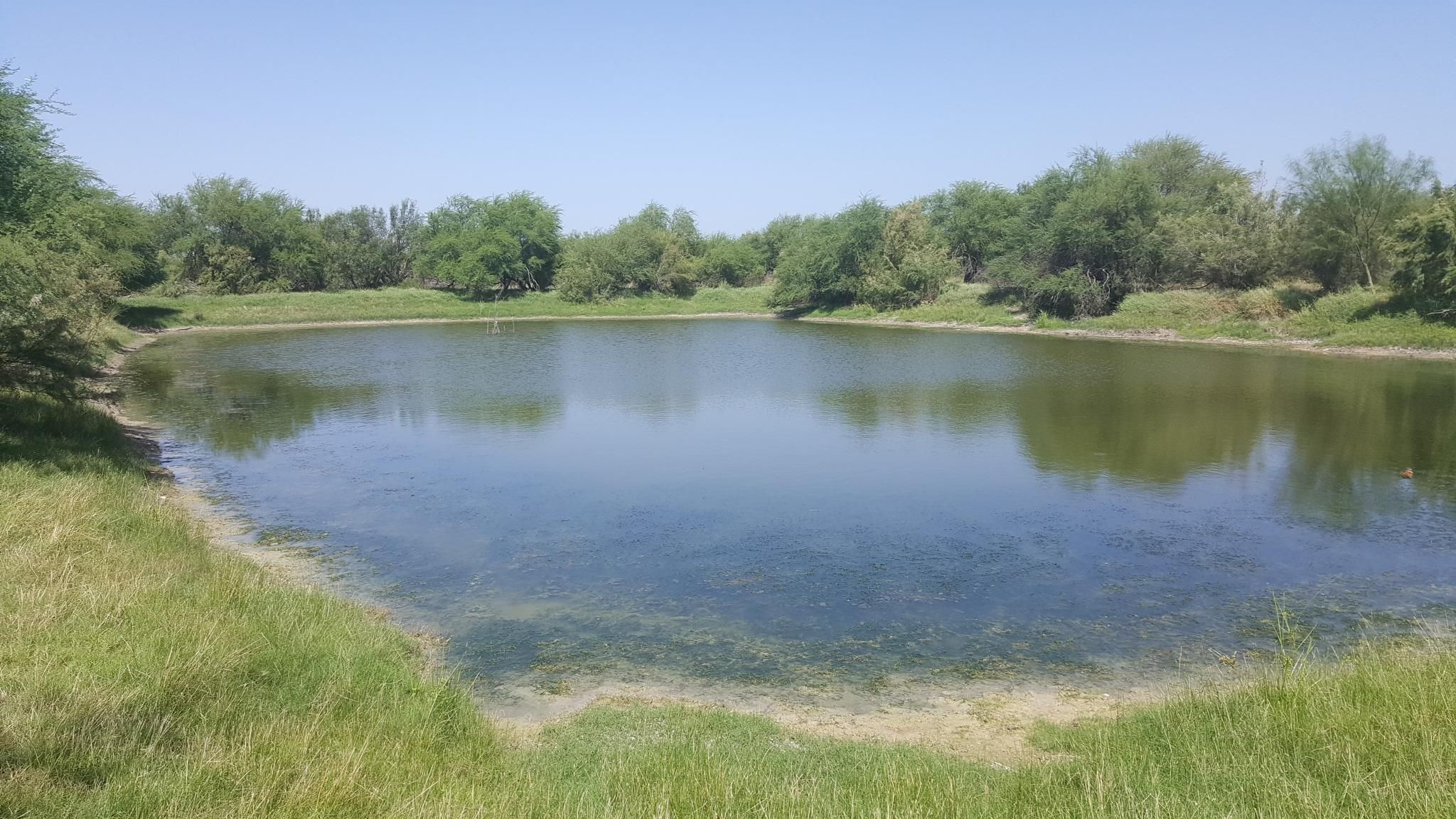 san julian raod, Rio Grande City, TX 78582 | Land.com