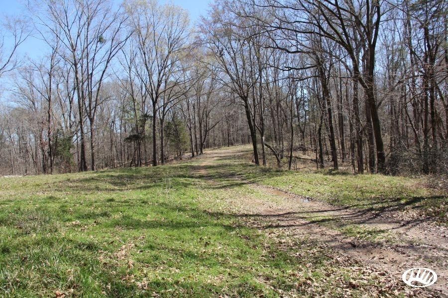 700 acres in Jefferson County, Mississippi