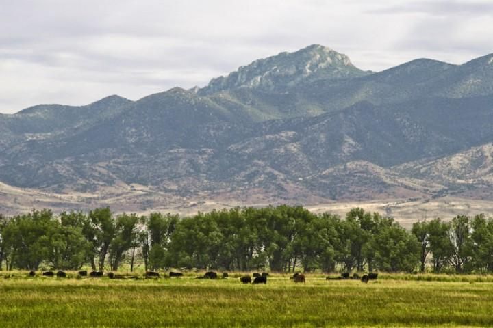 247,000 acres in Montello, NV, | Land.com