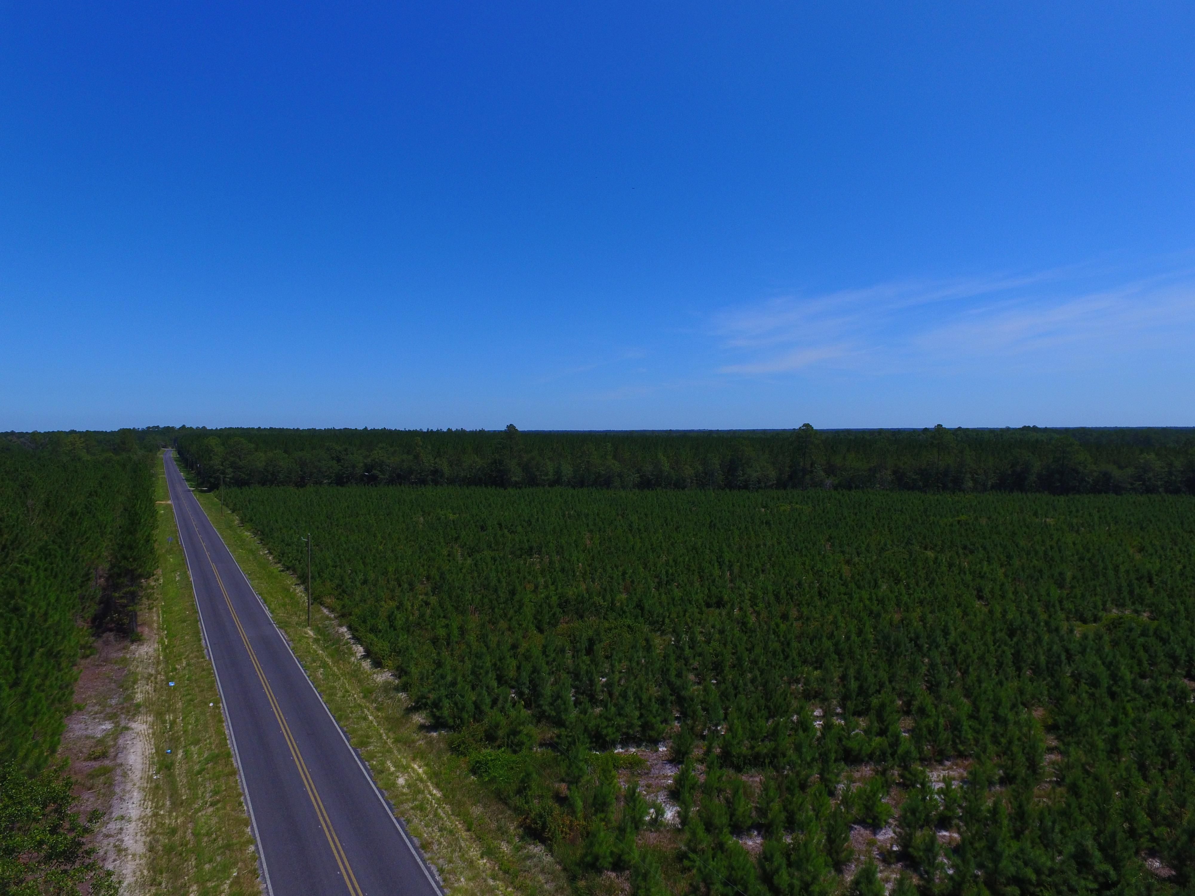 Raybon Rd, Waynesville, GA 31566 | Land.com