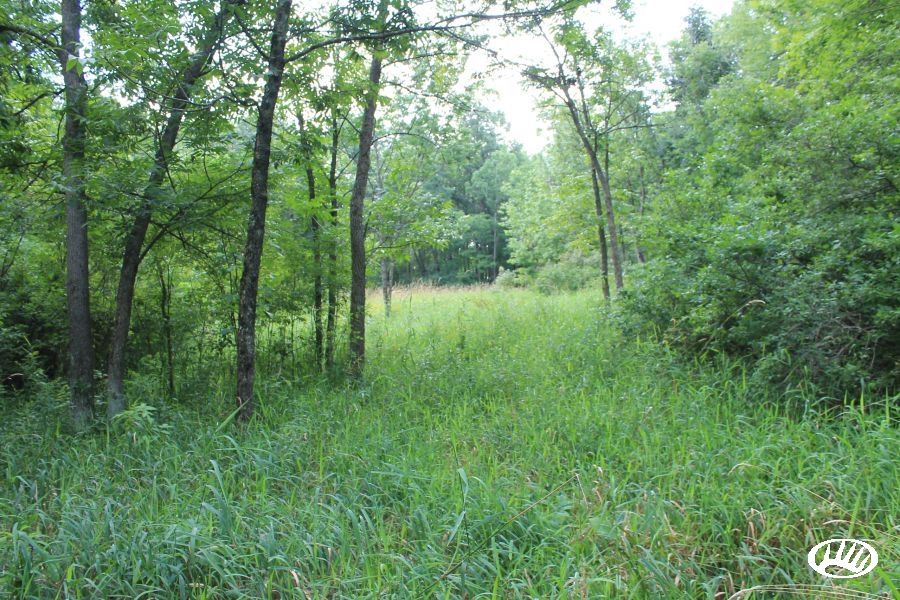Highway 21, Redgranite, WI 54970 | Land.com