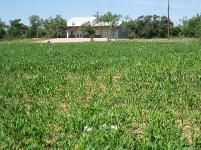 365 acres in McCaulley, TX, | Land.com