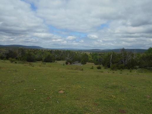 nolia loop watson creek road, Nashoba, OK 74558 | Land.com