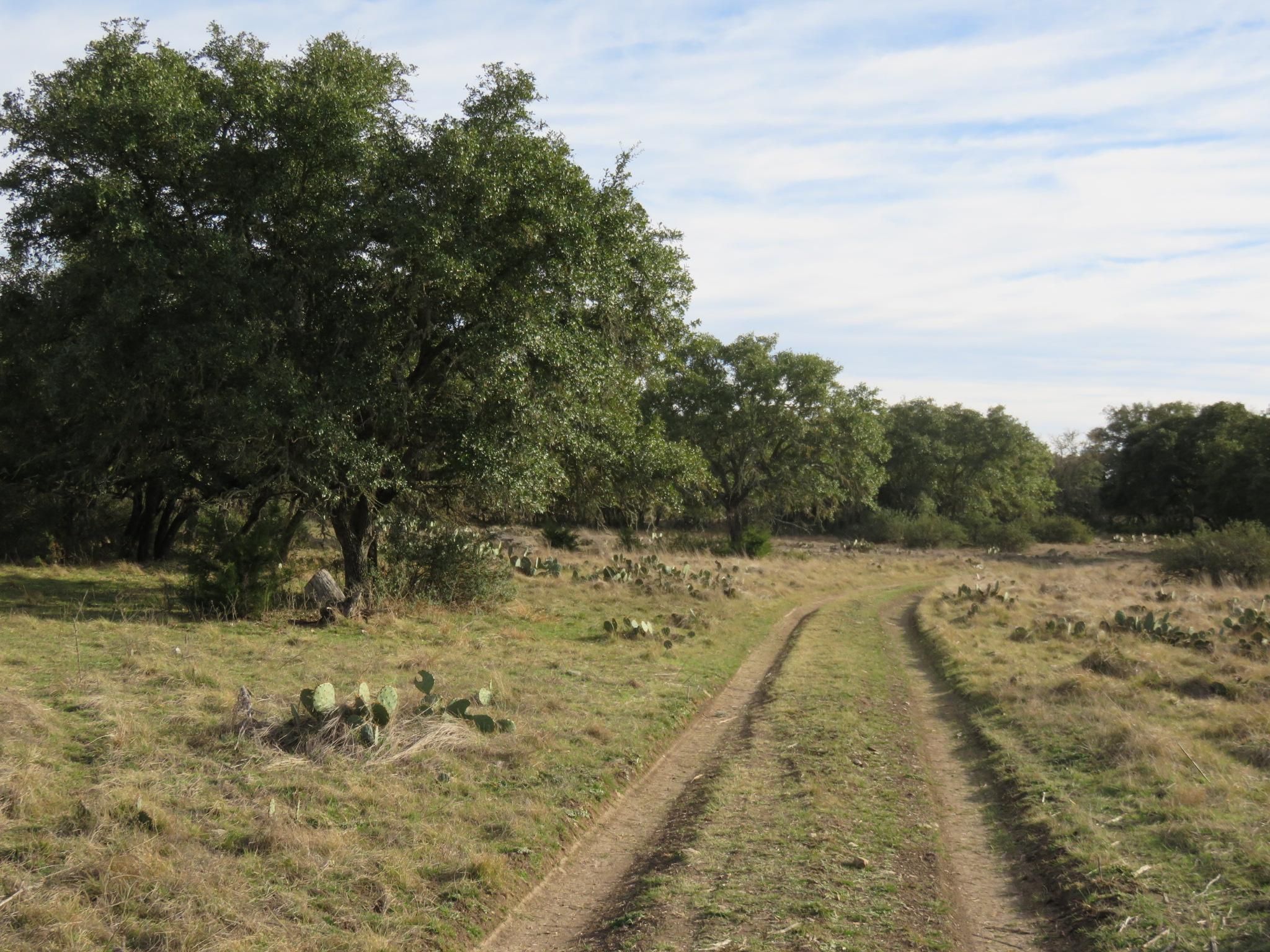 00 Oak Ridge Ranch, Junction, TX 78874 | Land.com