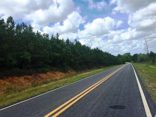 69 acres in Summertown, GA, 30401 | Land.com