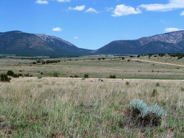 8750 US Highway 380, Capitan, NM 88316 | Land.com