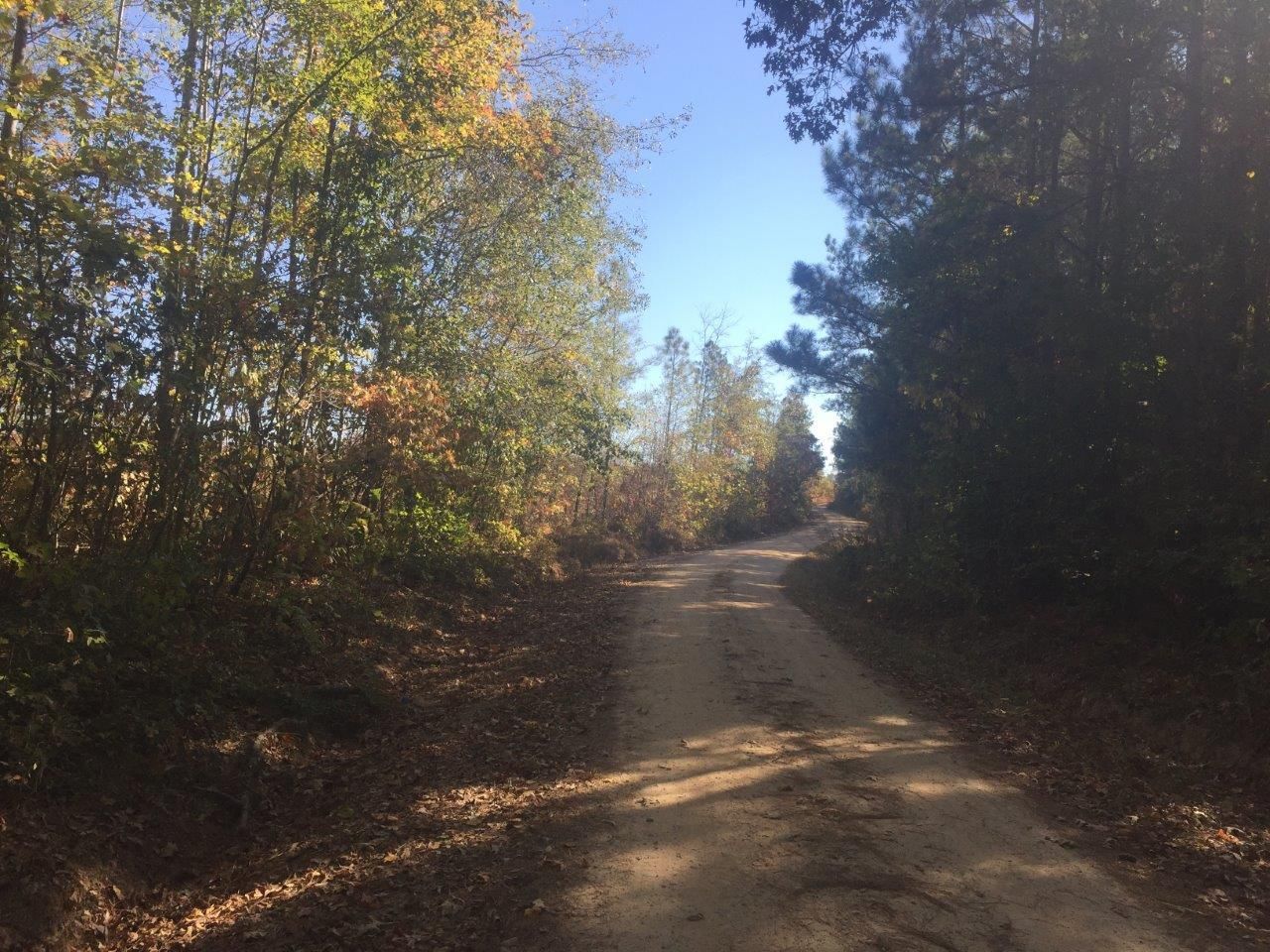 279 acres in Greene County, Georgia