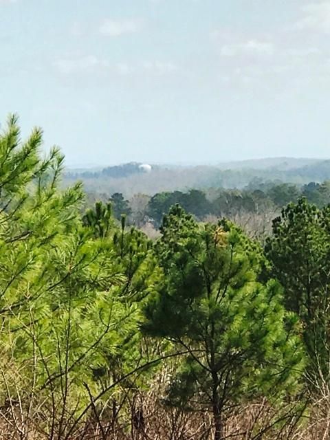 Roland Hayes Parkway, Calhoun, GA 30701 | Land.com