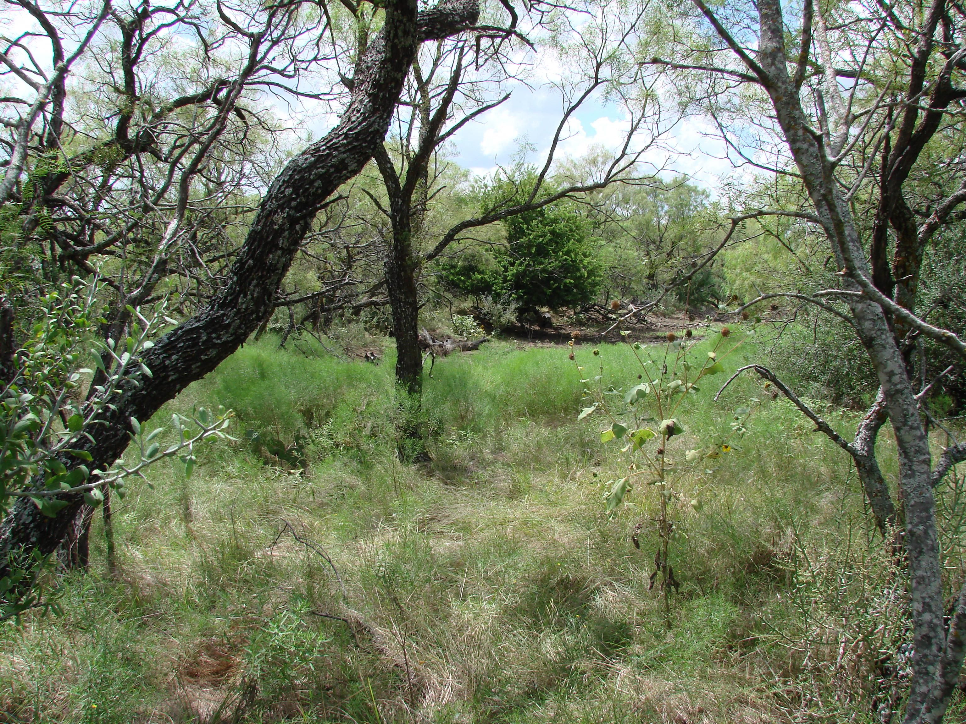 190 acres in Callahan County, Texas