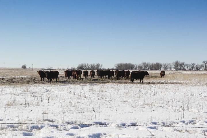 17,102 acres in Weld County, Colorado