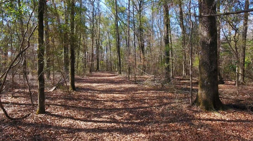256 acres in Perry County, Alabama