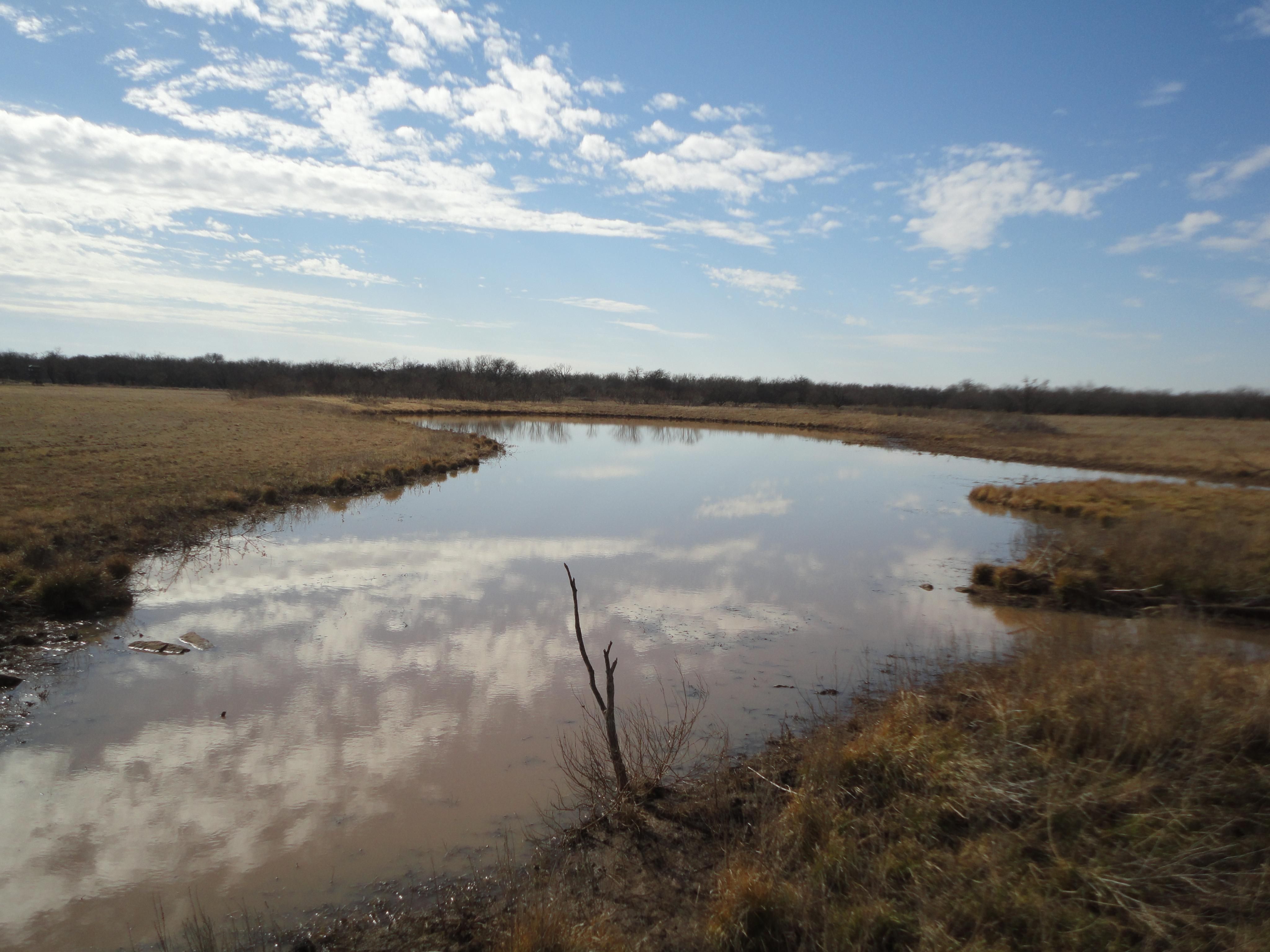 216.5 acres in Olney, TX, 76374 | Land.com
