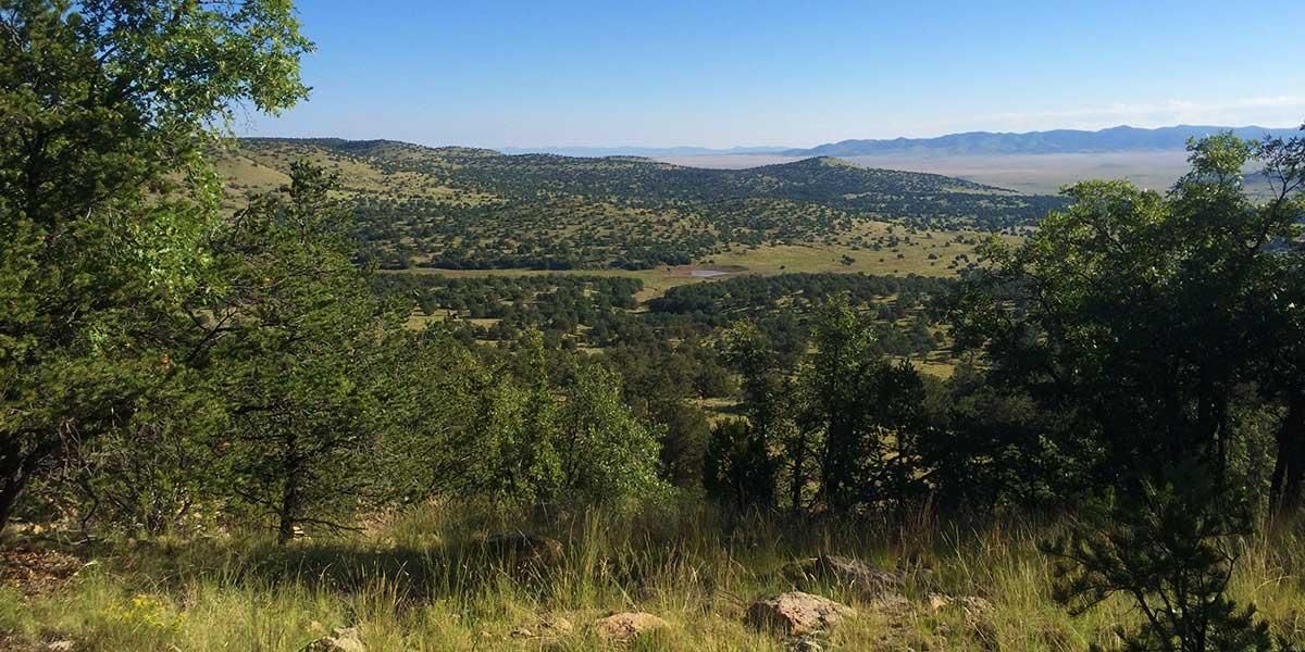 7,651 acres in Catron County, New Mexico