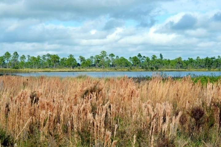 5406 State Road 70 West, Lake Placid, FL 33852 | Land.com