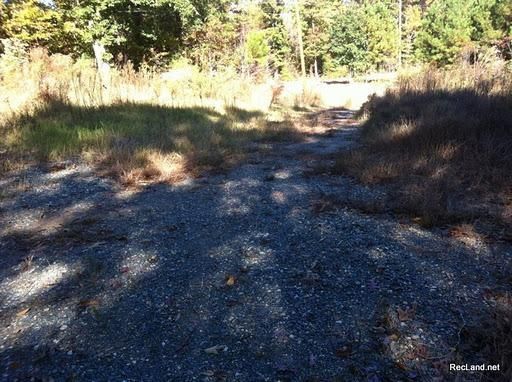LA - Ouachita - Brittany Pender Rd - Wooded Home Site - 10 ac, Eros, LA ...