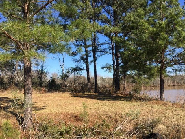 55 Will Dr, Chula, GA 31733 | Land.com