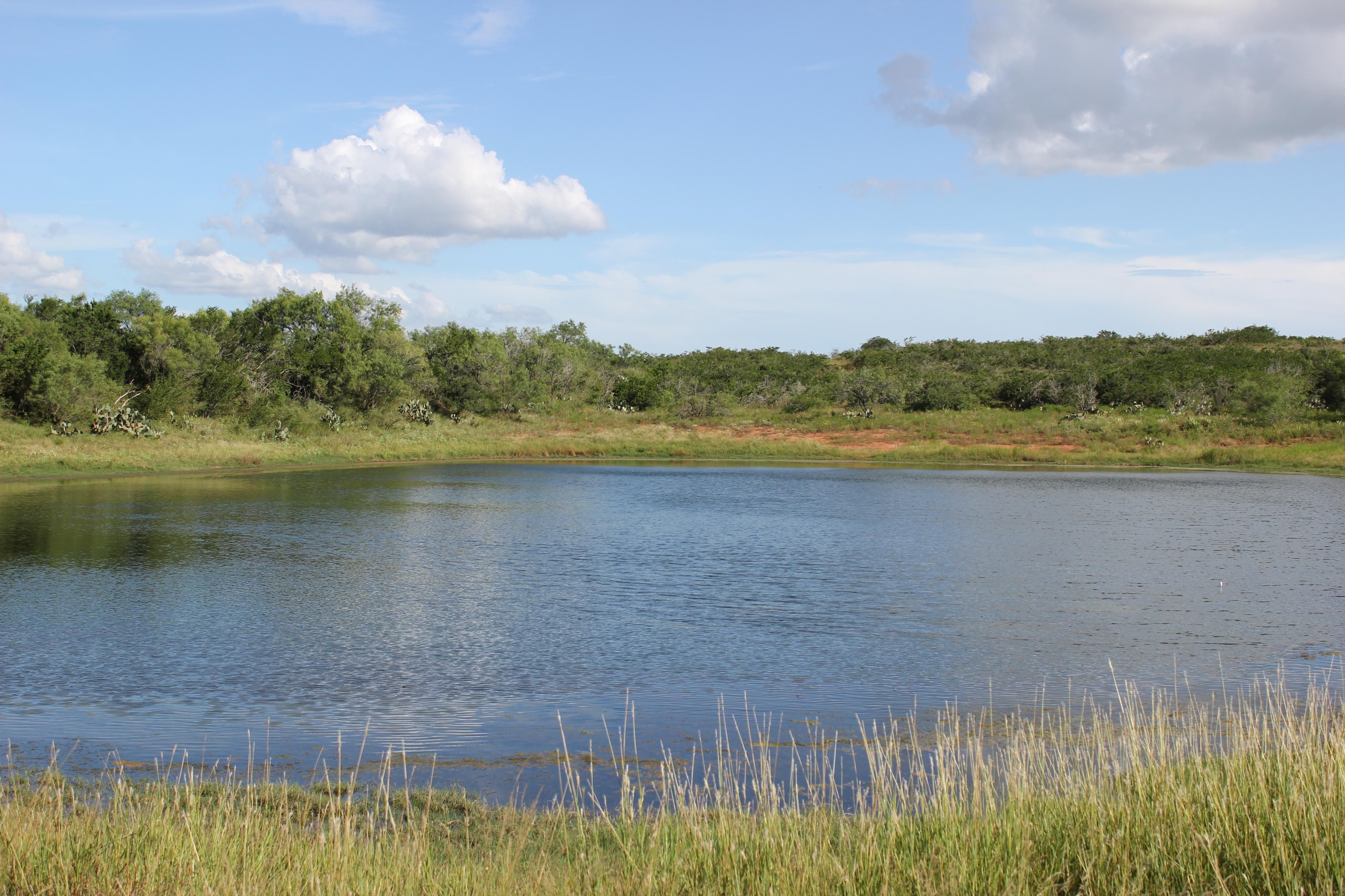 1,530 acres in Frio County, Texas