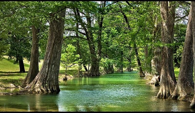393 acres in Kerr County, Texas