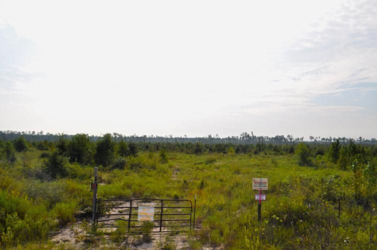 FM 2262, Groveton, TX 75845 | Land.com