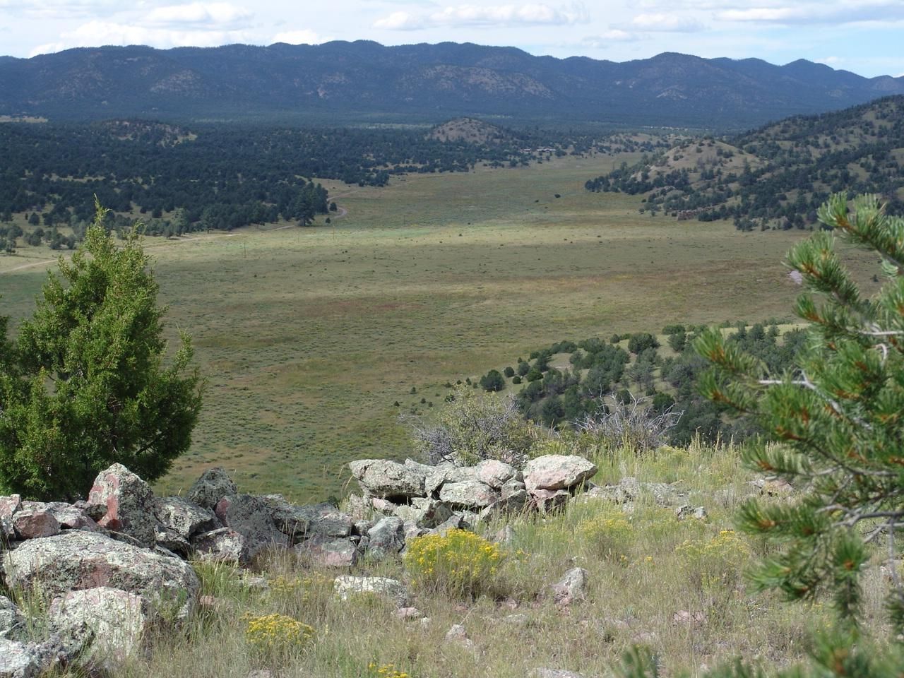 6,000 acres in Catron County, New Mexico