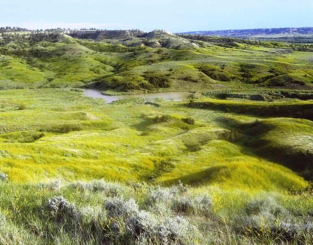 30,000 acres in Mosby, MT, 59058 | Land.com