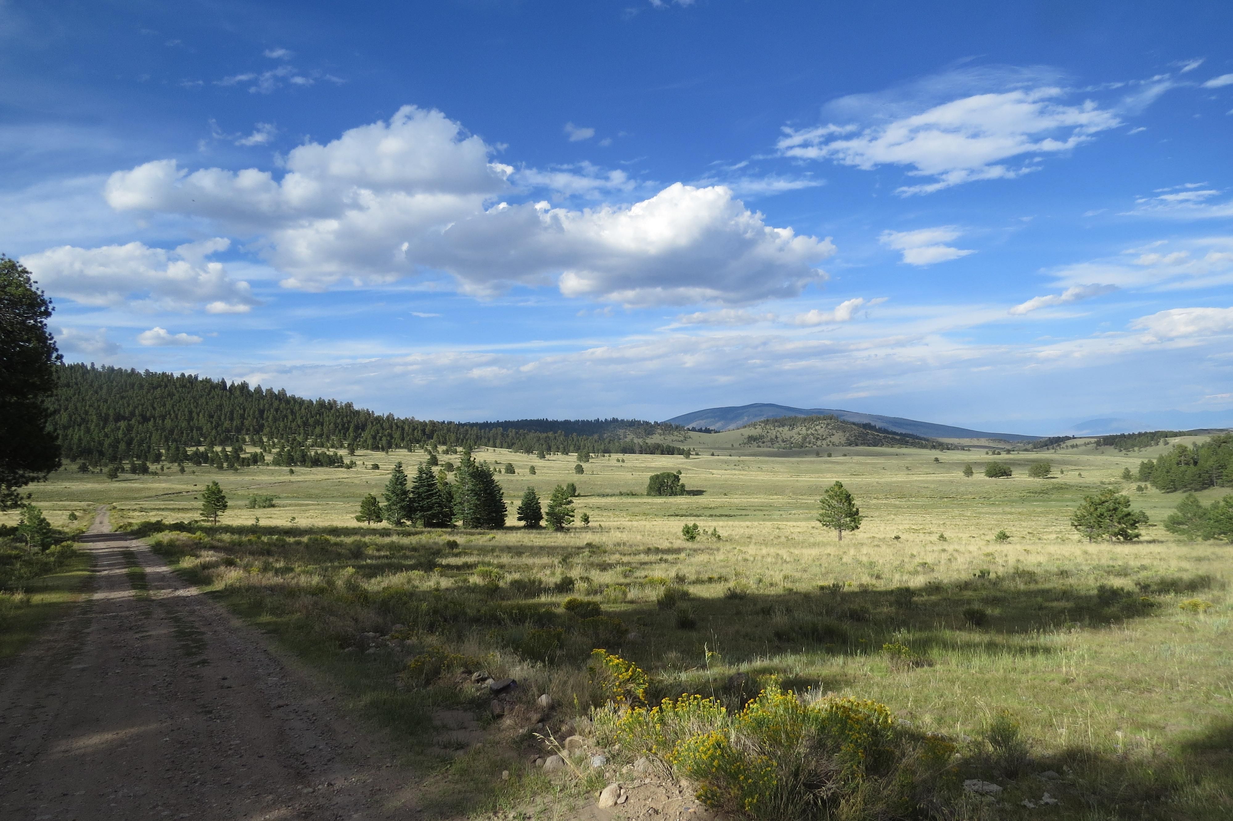 160 acres in Tres Piedras, NM, 87577 | Land.com