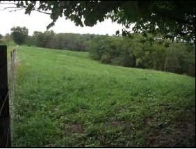 84 acres in Scotch Grove, IA, | Land.com