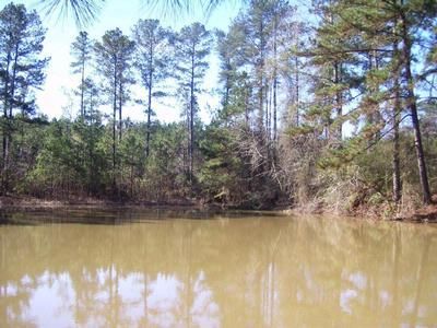 Poplar Springs Road, Florence, MS | Land.com