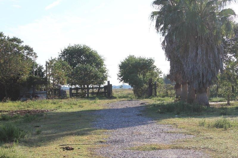 16404 Warren Ranch Road, Hockley, TX 77447 | Land.com