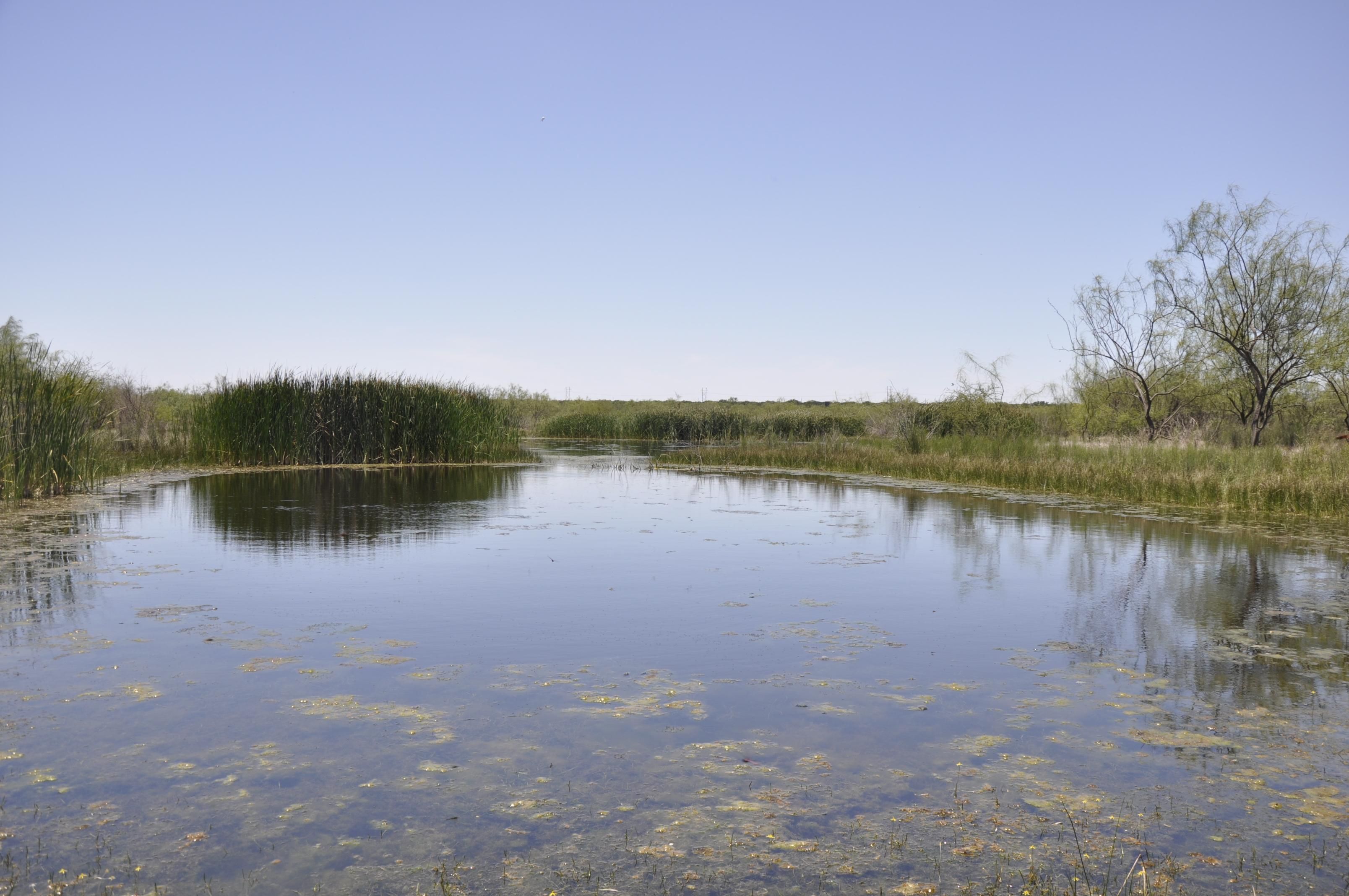 Loma Blanca Road, Roma, TX 78584 | Land.com