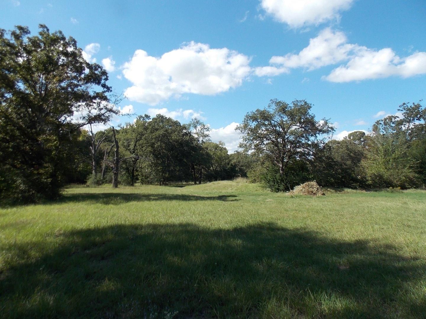 6074 CR 360, Buffalo, TX 75831 | Land.com