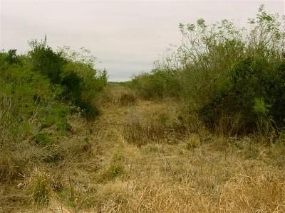 550 acres in Jim Wells County, Texas