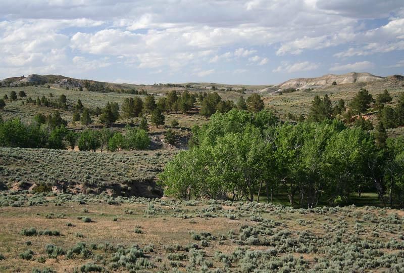 1,516 acres in Kaycee, WY, 82639 | Land.com