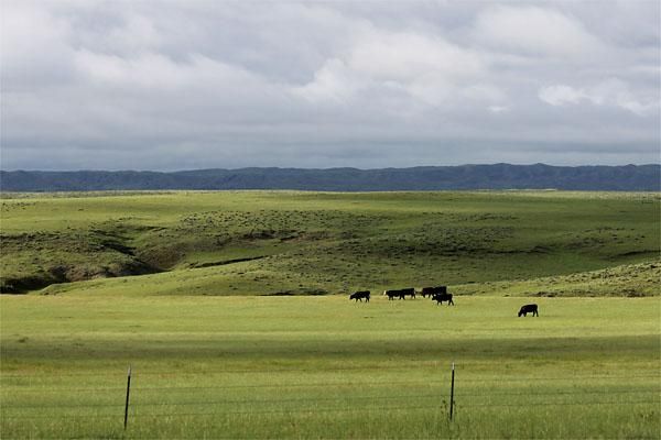 395 Coal Mine Road, Kaycee, WY 82639 | Land.com
