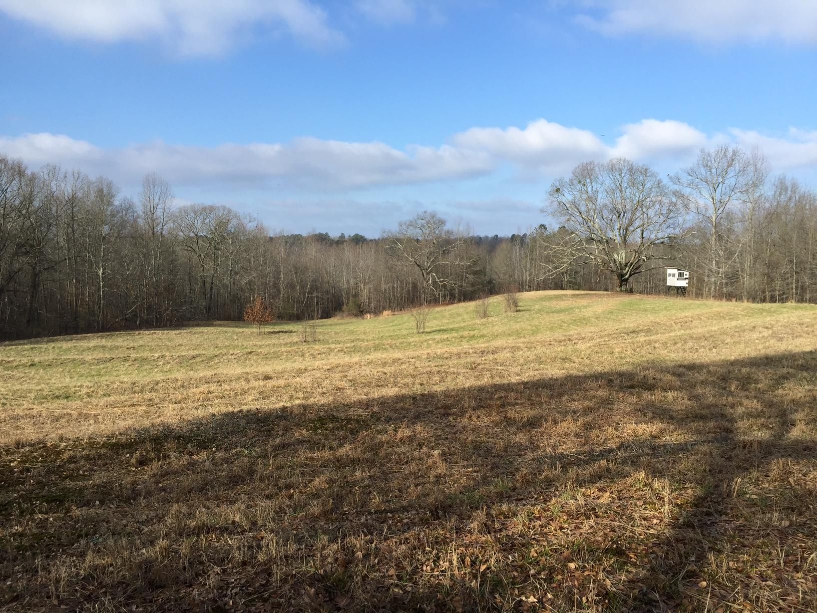 150 acres in Hayden, AL, 35079 | Land.com
