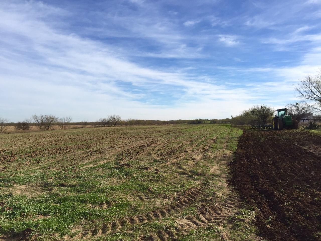27 acres in Callahan County, Texas
