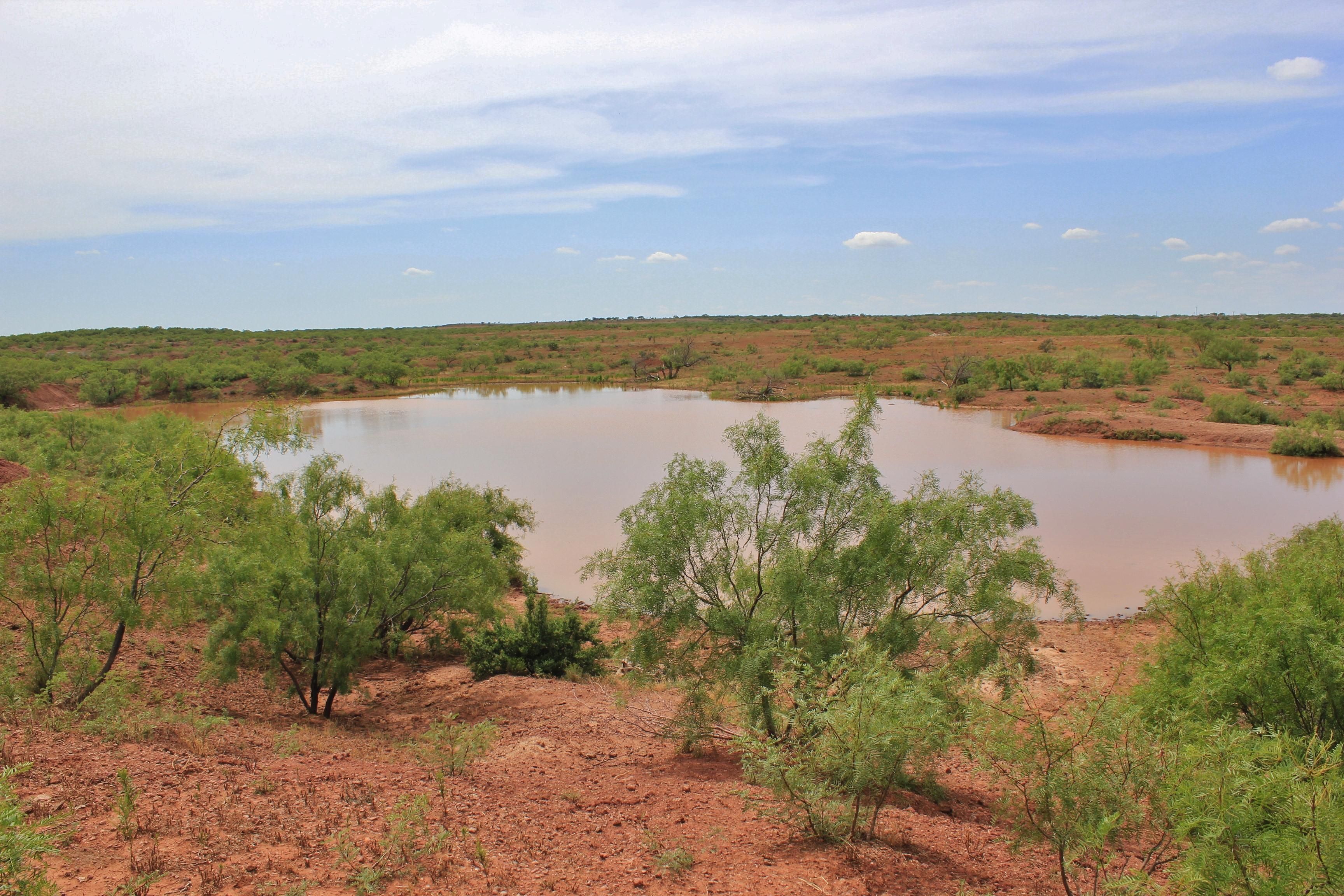 3,640 acres in Baylor County, Texas
