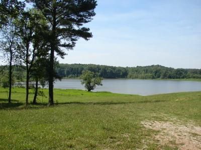 3075 Dooms Chapel Road, Symsonia, KY 42082 | Land.com