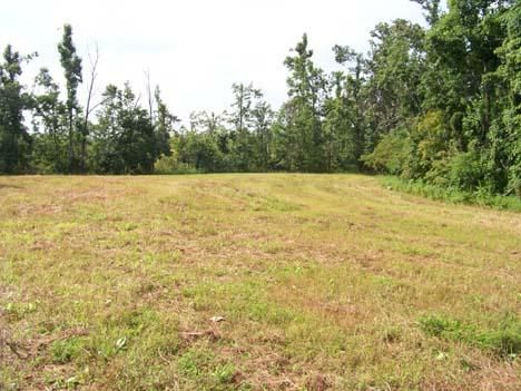117 acres in Marion County, Kentucky