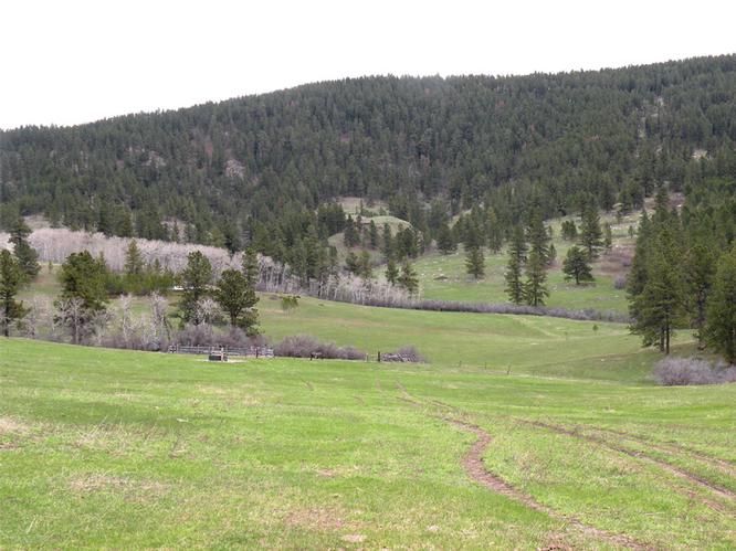 820 acres in Fergus County, Montana