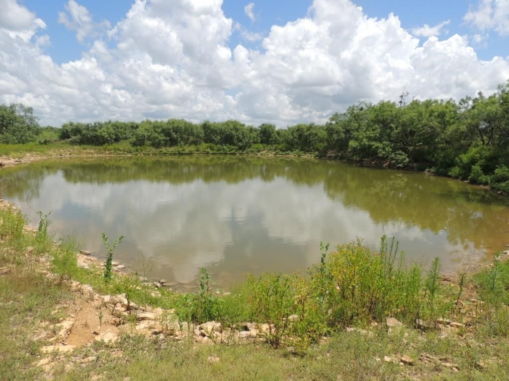 5850 FM 503, Valera, TX 76884-9701 | Land.com