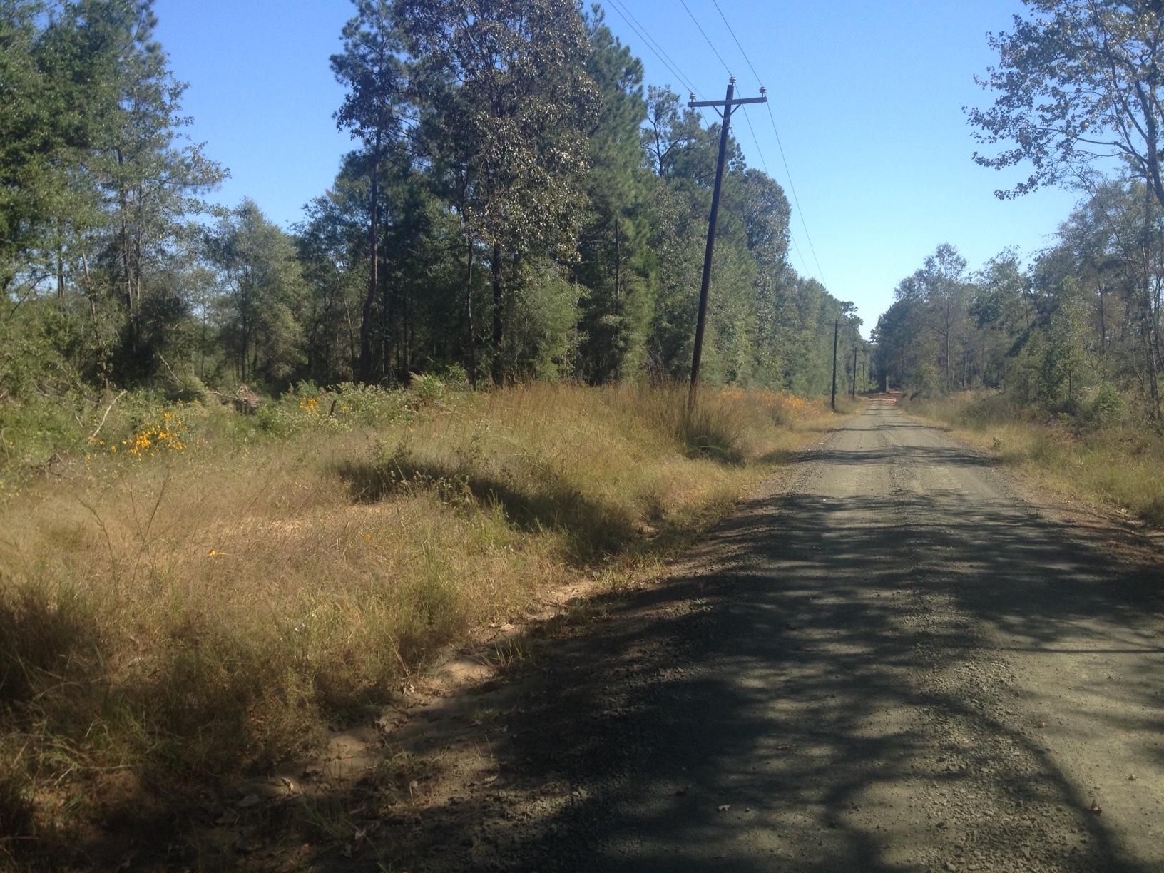 CR 2004, Bon Wier, TX 75928 | Land.com